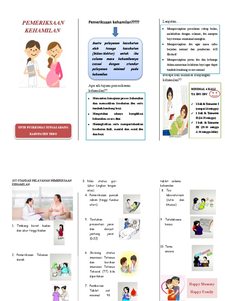 PEMERIKSAAN KEHAMILAN Leaflet | PDF