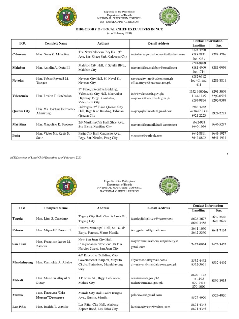 Local - Chief.Executives - As of February 2020 | PDF | Metro Manila ...