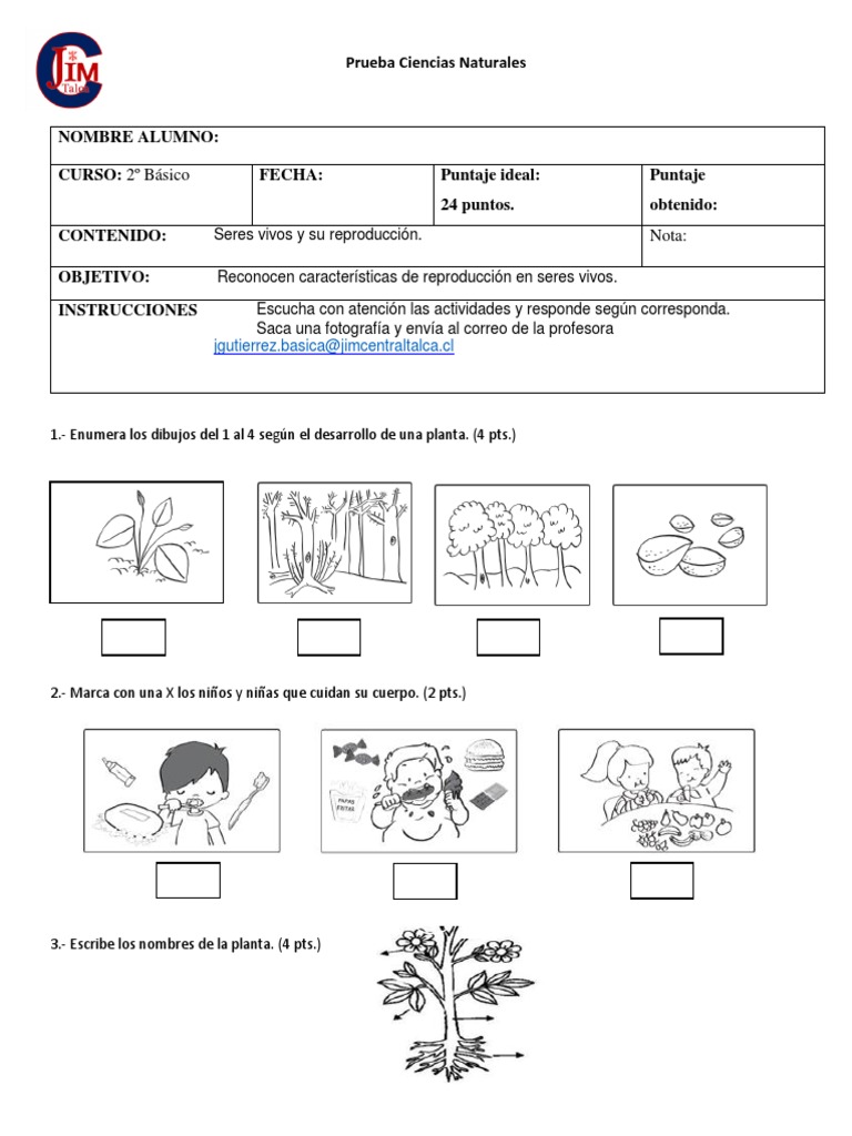 Prueba de Ciencias Naturales 2º Básico | PDF