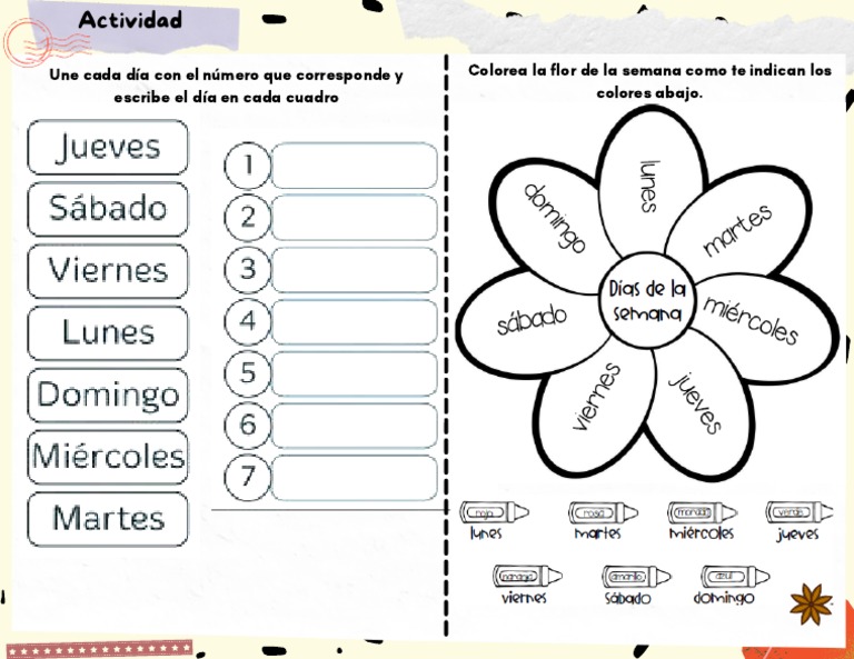 Días de La Semana | PDF