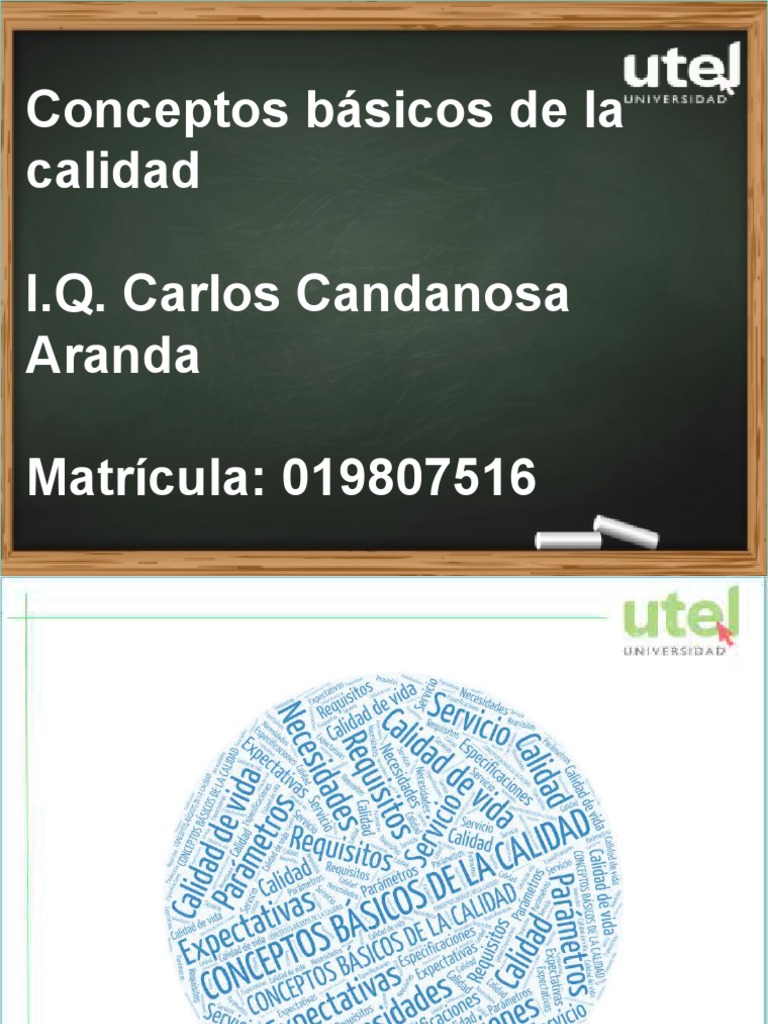 OC Conceptos Básicos de La Calidad V1 | PDF | Calidad (comercial ...