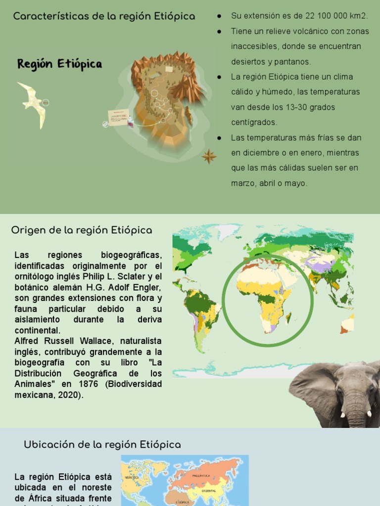 Regiones Biogeográficas Mundo | PDF