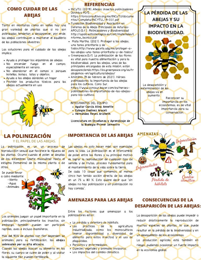 Cuidado y conservación de las abejas | PDF | Polinización | Abejas