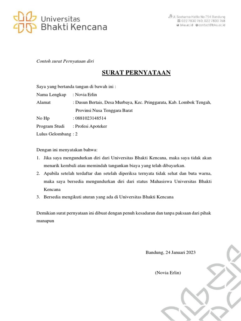 Surat Pernyataan 2 | PDF