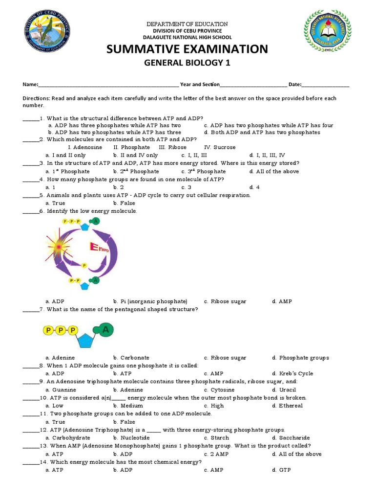 General Biology 1 Summative Exam | PDF | Photosynthesis | Adenosine ...