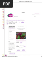 Barney's Colors All Around Episode | PDF | Fandom