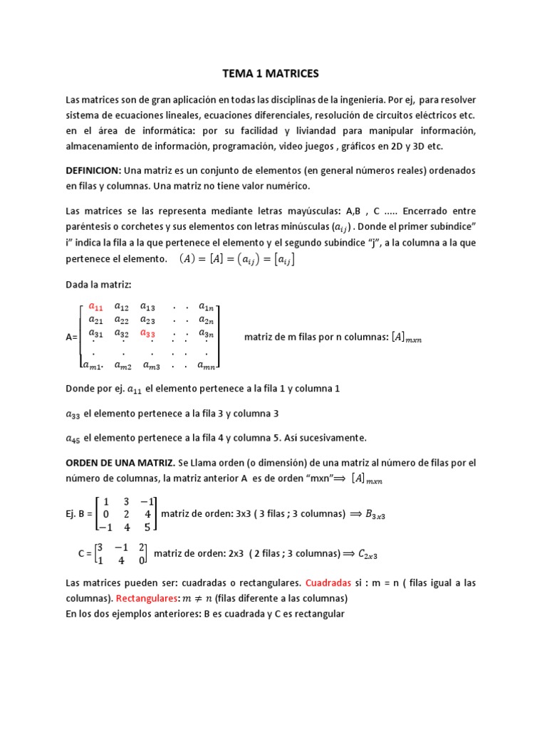 Tema 1 Matrices P.P. (F) | Descargar gratis PDF | Matriz (Matemáticas) | Física Matemática