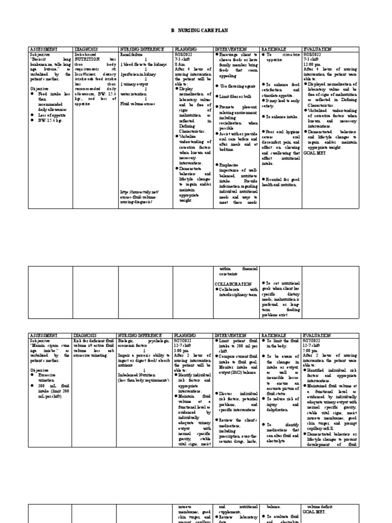 B. Nursing Care Plan | PDF | Dehydration | Appetite