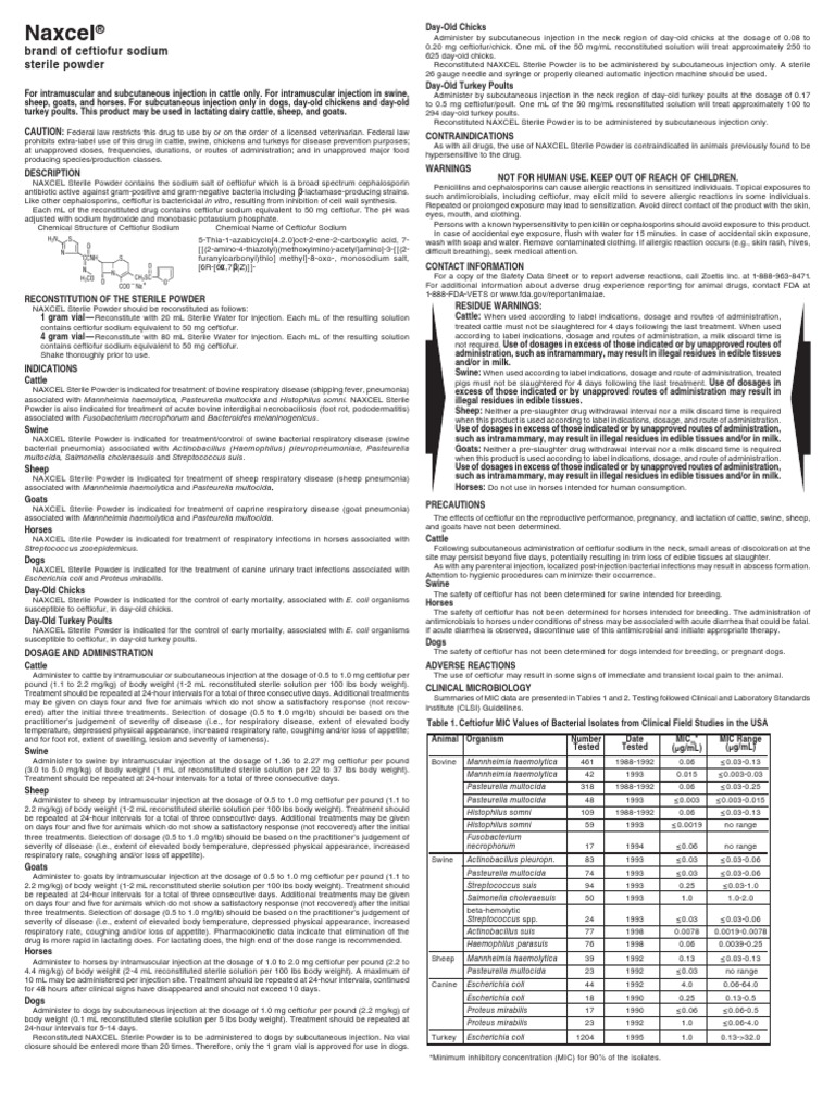 Naxcel Marketing Package Insert | PDF | Injection (Medicine) | Dose ...