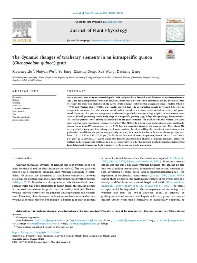 Liu Et Al., 2022 Compressed-1 | PDF | Grafting | Tissue (Biology) Liu Et Al., 2022 Compressed-1 | PDF | Grafting | Tissue (Biology)