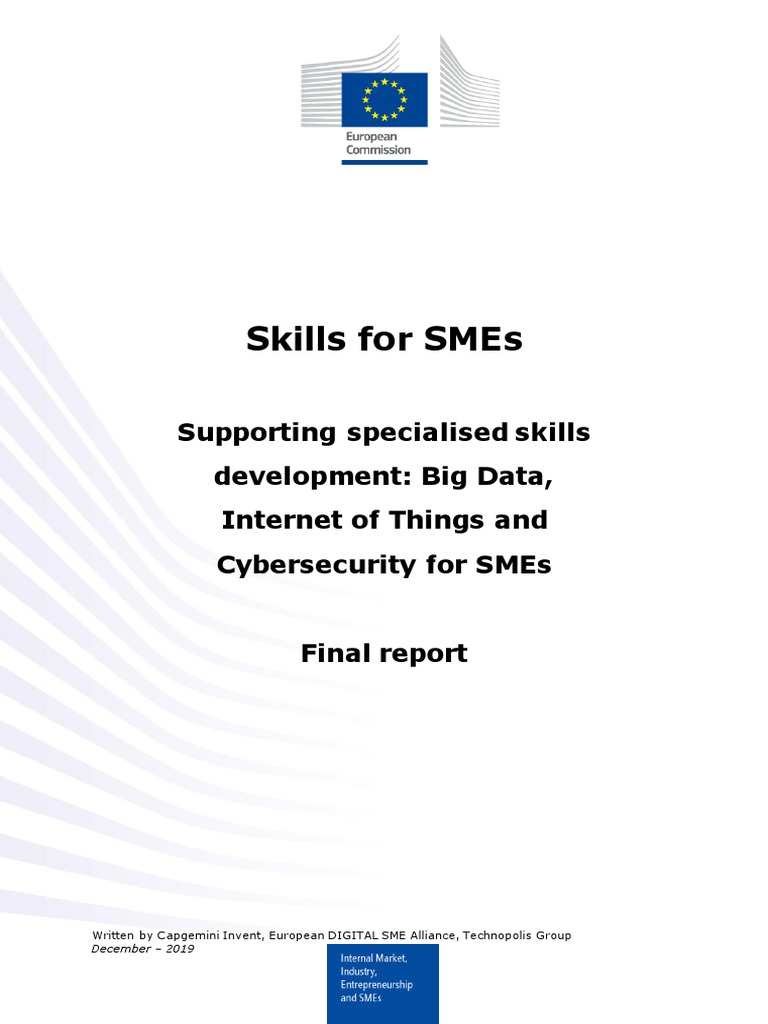 Skills For SMEs | PDF | Small And Medium Sized Enterprises | Internet ...