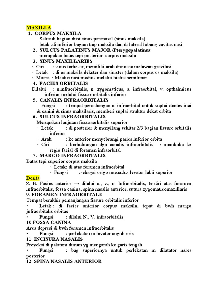 Anatomi dan Fungsi Maksila | PDF