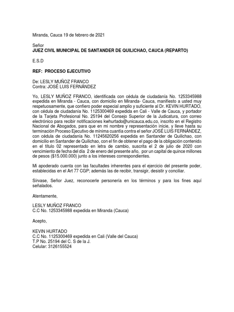 Poder Especial- Proceso Ejecutivo | PDF
