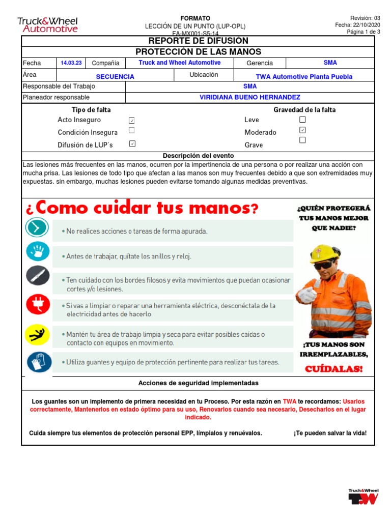 Lup Protección de Las Manos | PDF