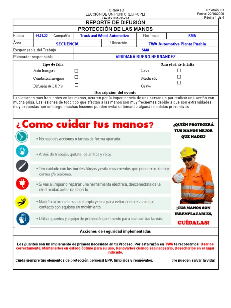 Lup Protección de Las Manos | PDF