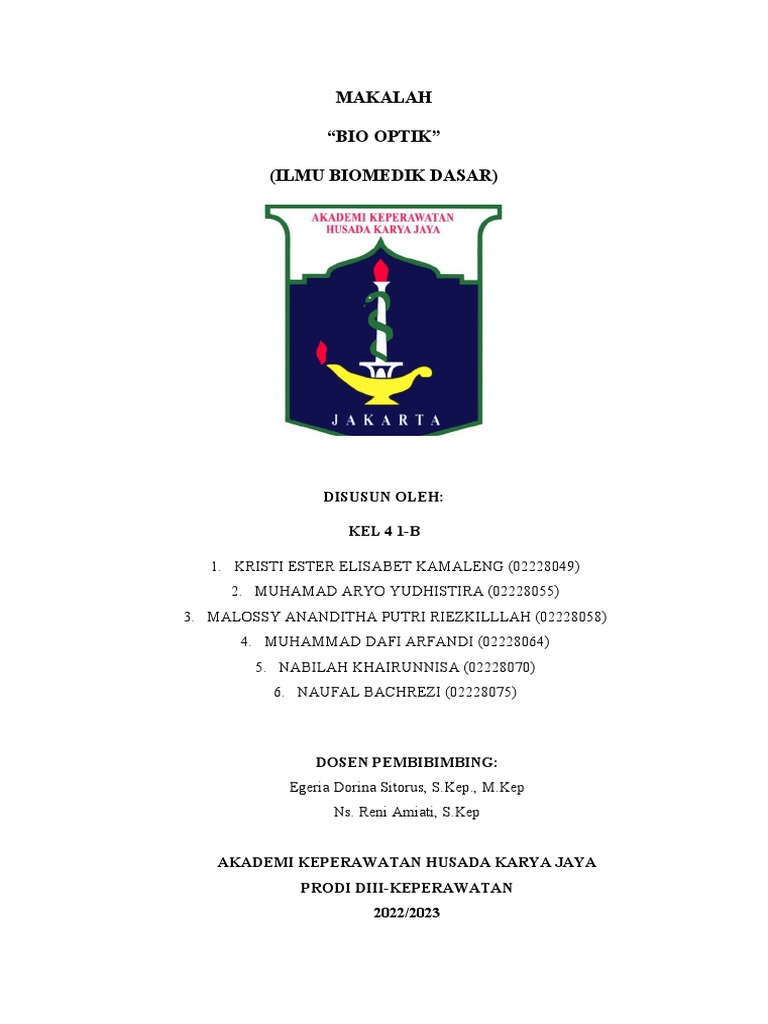 Makalah Bio Optik Kel 4 Ibd | PDF