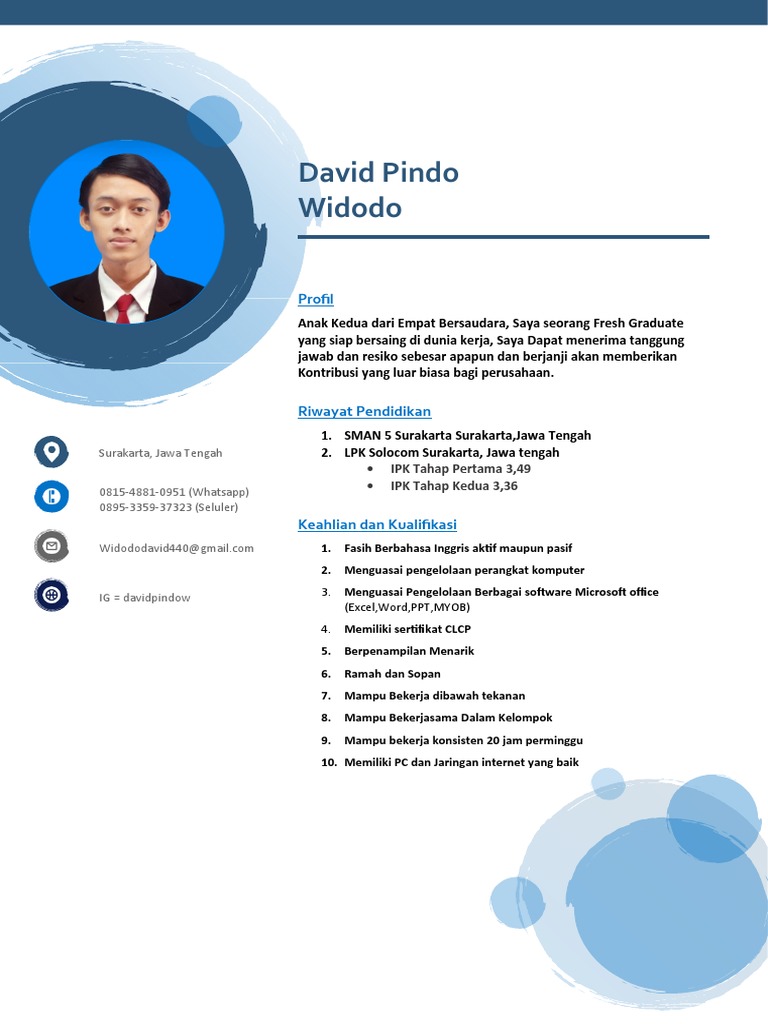 CV David Pindo Widodo | PDF