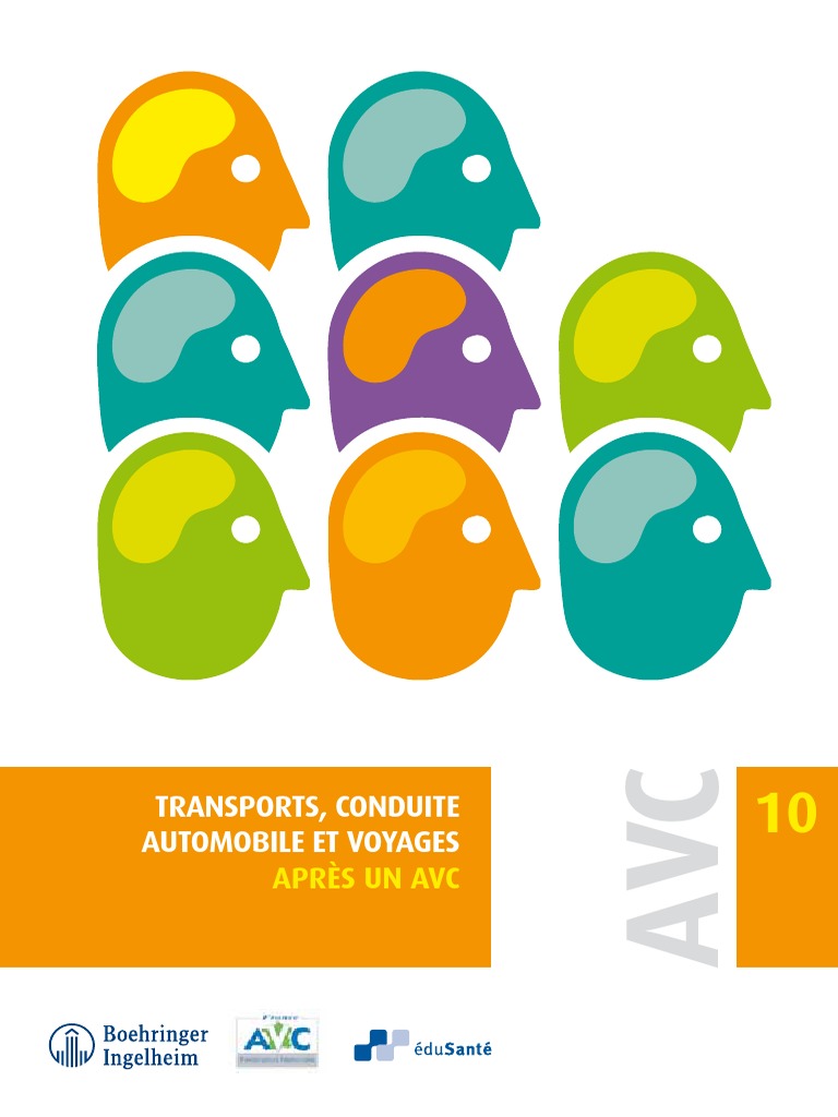 Avc Et Conduite Automobile | PDF