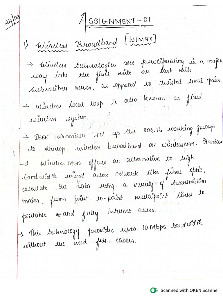 MC Assignment 1 | PDF