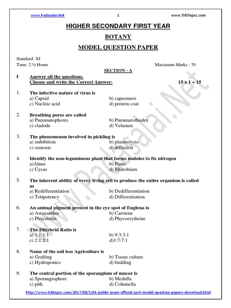 XI Botany Model Question Paper | PDF | Root | Plants