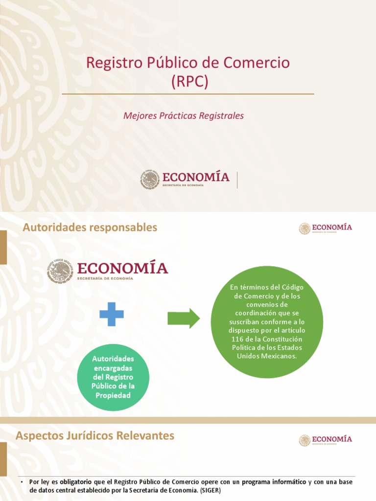 RPC - Mejores Prácticas Registrales - Nov20 | PDF | Informática