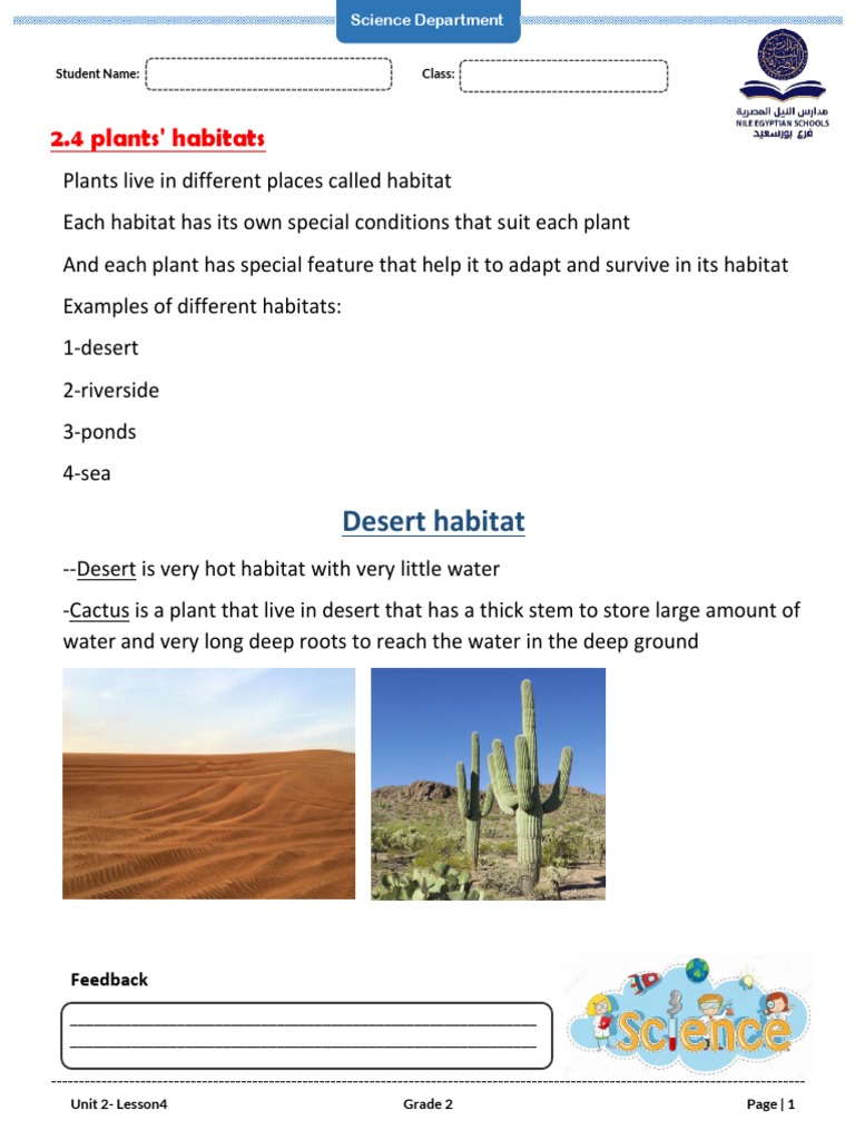 Plants' Habitats | PDF | Habitat | Plants