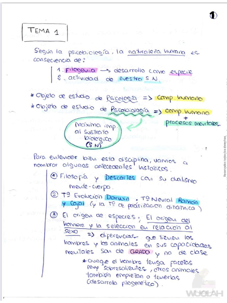 Tema 1 Esquemas | PDF