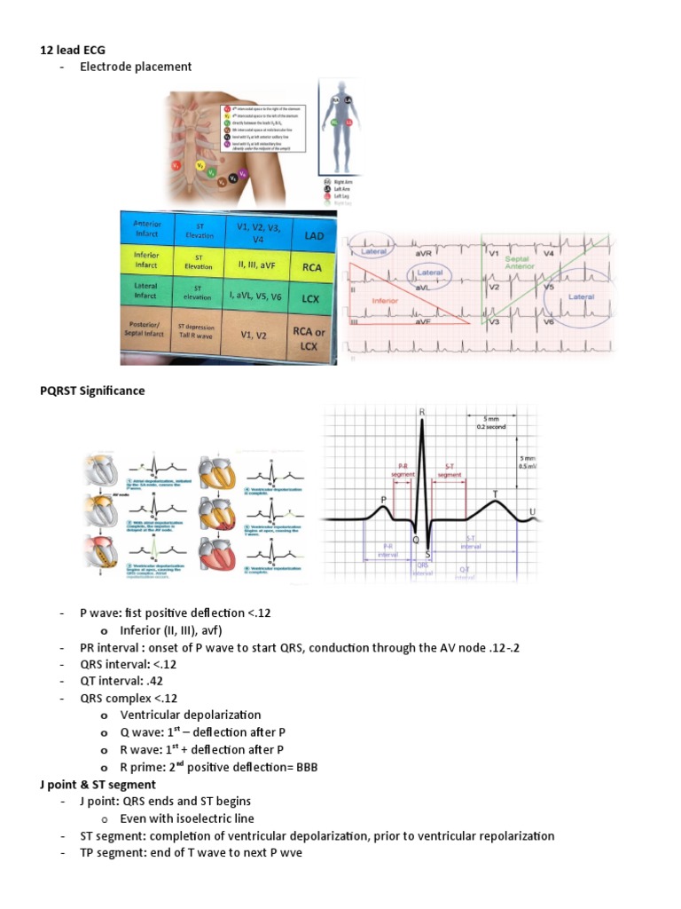 ECG Study Guide | PDF | Electrocardiography | Artificial Cardiac Pacemaker