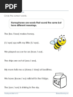 Homonyms and Homophones Grade 3 Worksheet 1 PDF | PDF