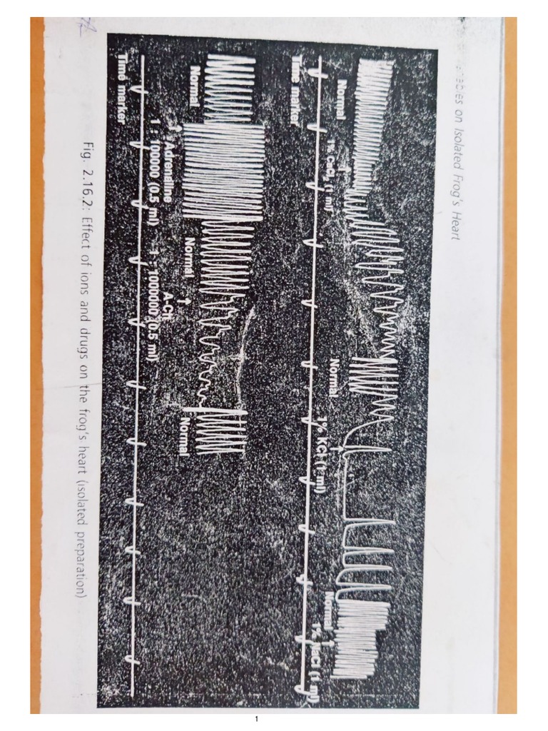 Experimental Physiology Graphs | PDF