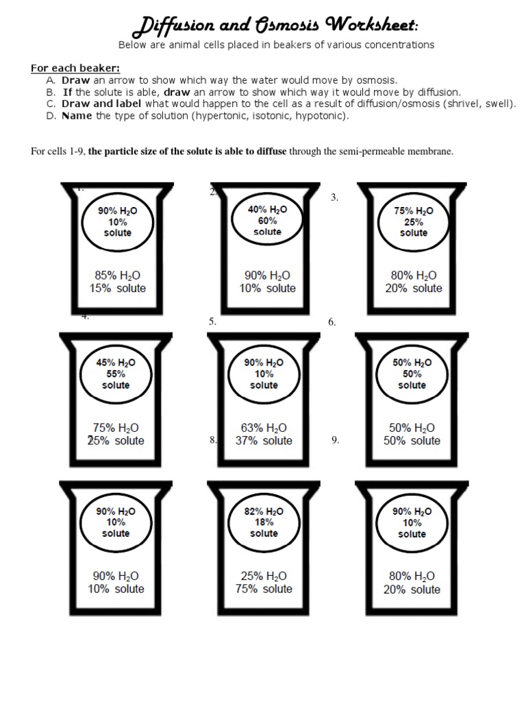 Diffusion and Osmosis Practice | PDF