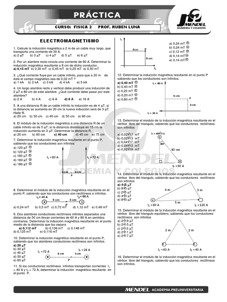 Practica de Electromagnetismo Firme-27316182199 | PDF | Inducción electromagnética | Campo magnético