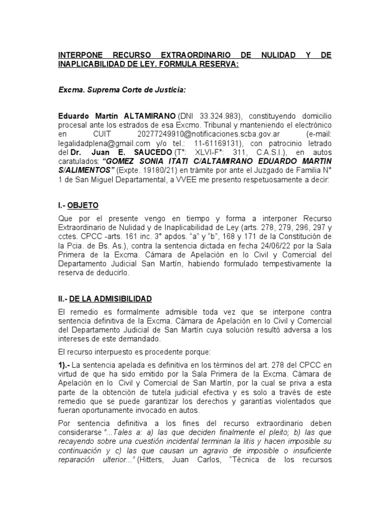 Interpone Recurso Extraordinario de Nulidad y de Inaplicabilidad de Ley | PDF | Sentencia (ley ...