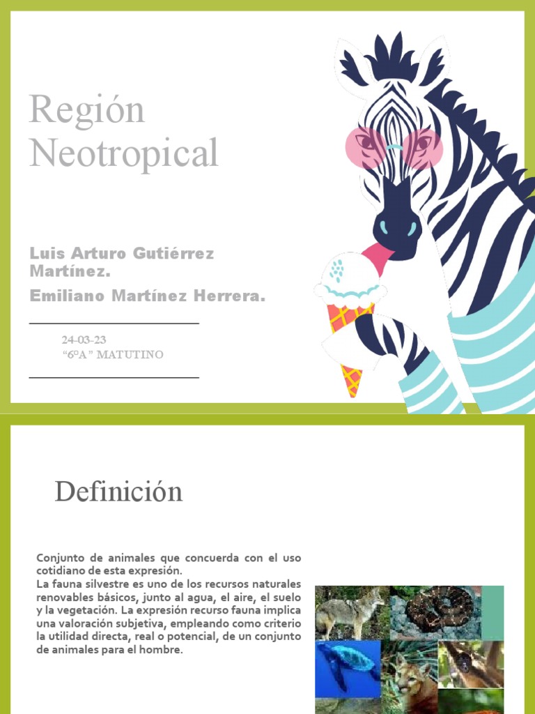Región Neotropical | PDF