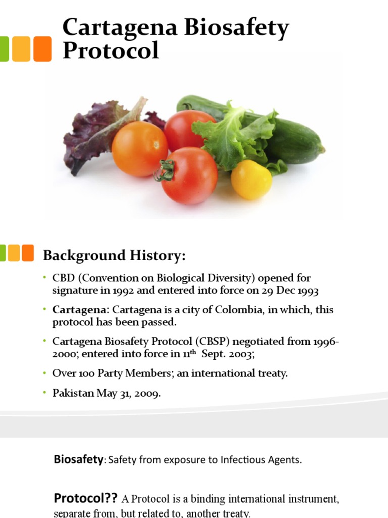 Cartagena Biosafety Protocol | PDF | Genetically Modified Organism