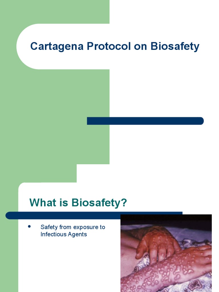 Biosafety Protocol Overview | PDF