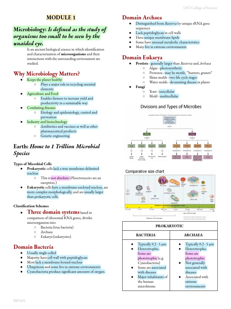 Organisms Too Small To Be Seen by The Unaided Eye | PDF | Microorganism ...