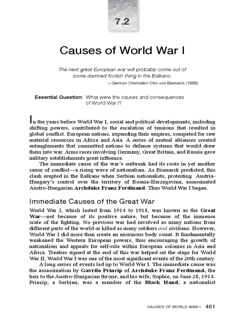Causes of World War I | PDF | World War I | Allies Of World War I