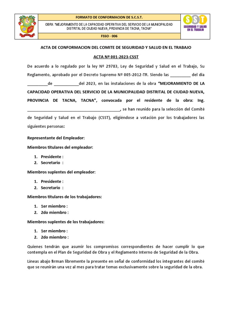 Acta de Conformación del CSST 2023 | PDF | Gobierno