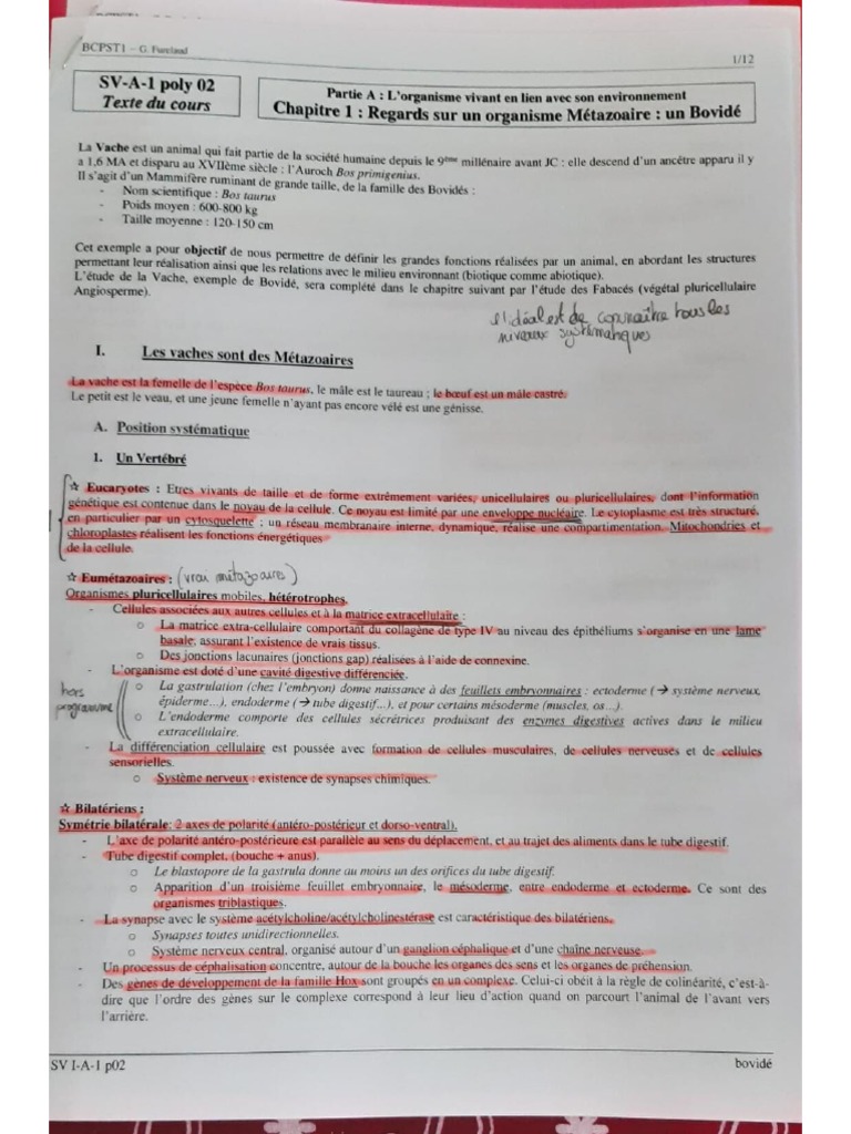 Chapitre 1 - Un Regard Sur Un Métazoaire | PDF