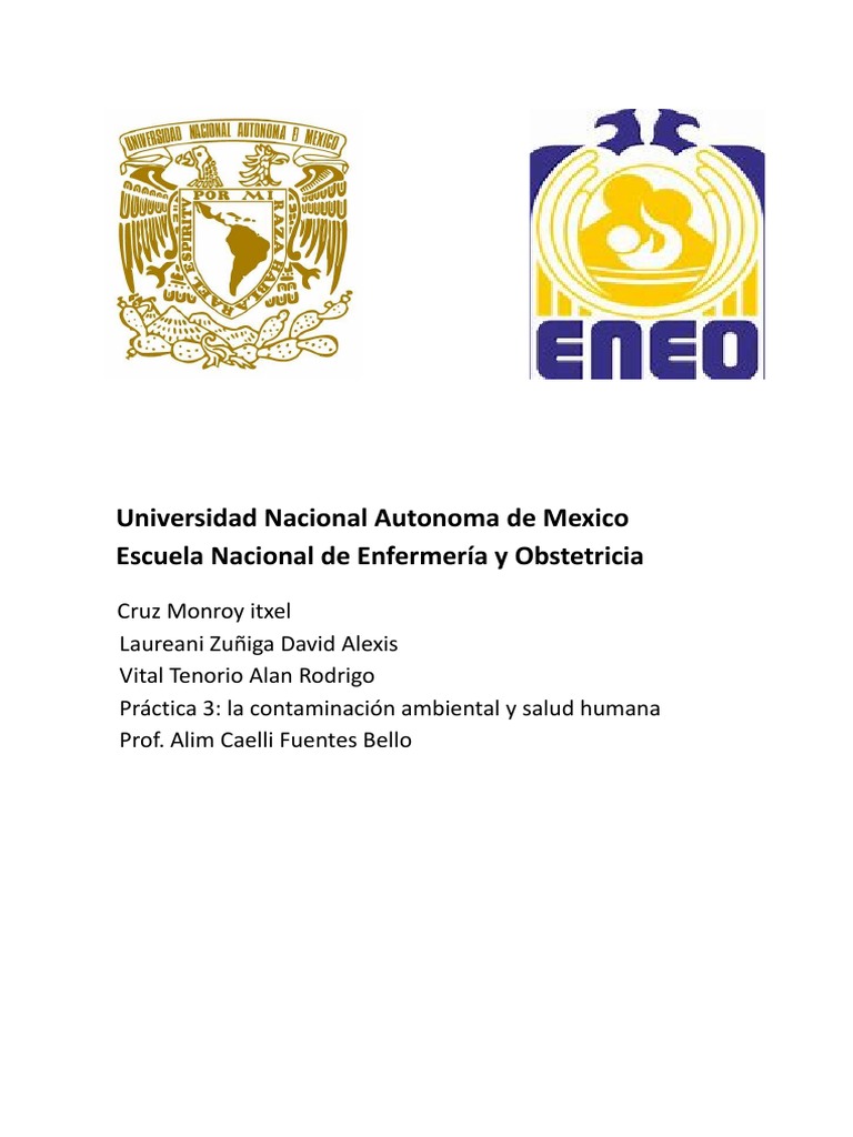 Practica 3 | PDF | Contaminación | La contaminación del aire