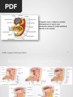 Ouabaina - Farmacologia | PDF