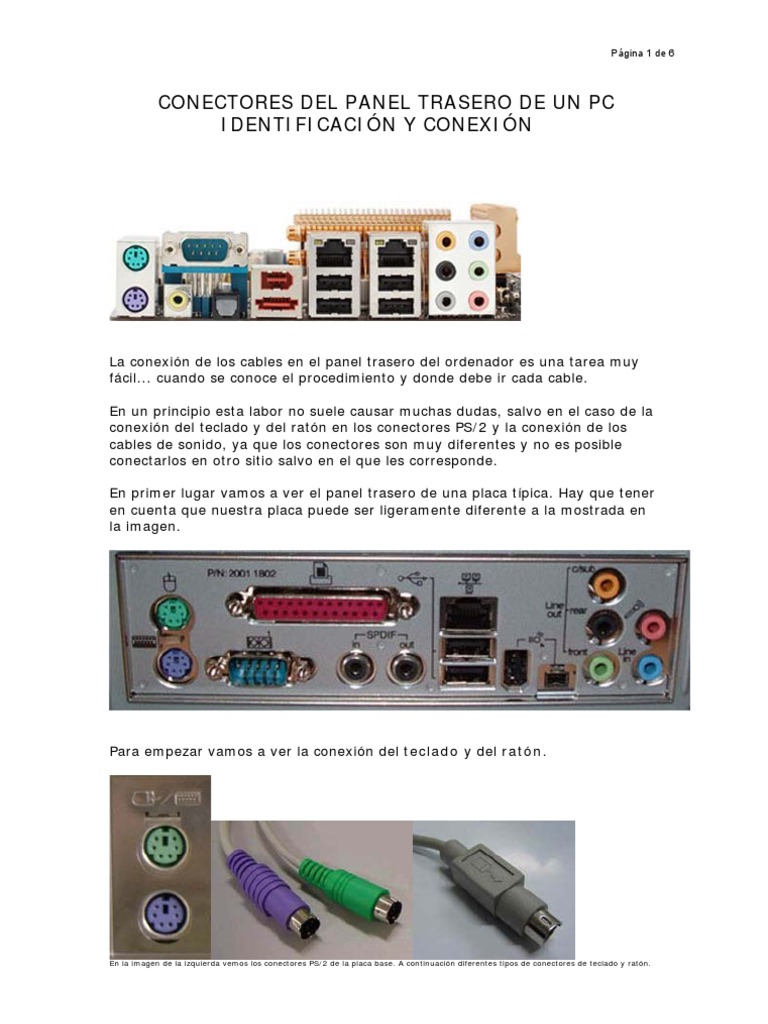 Conectores+Del+Panel+Trasero+de+Un+Pc | USB | Teclado