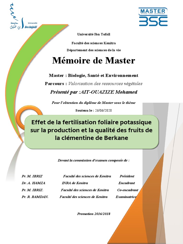 Mémoire Master - Effet de La Fertilisation Foliaire Potassique | PDF ...