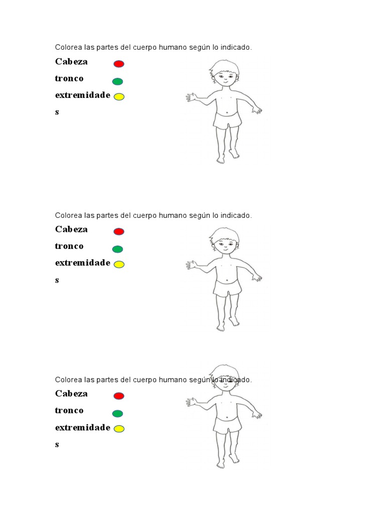 El Cuerpo Humano Fichas Pdf