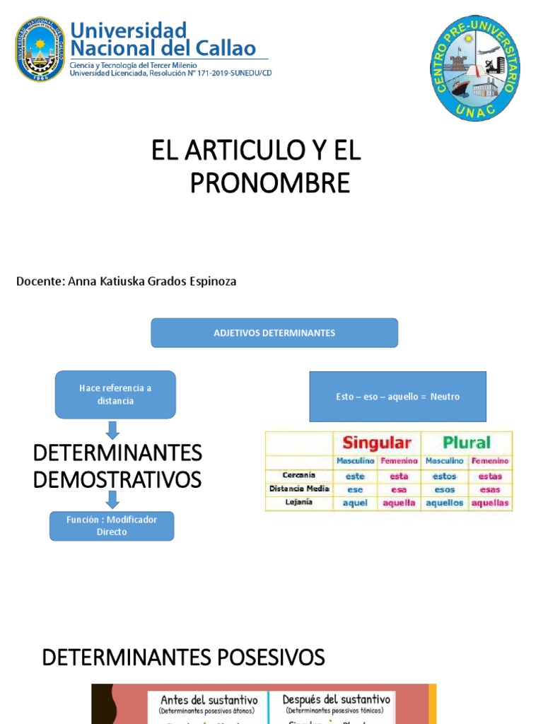Articulo y Pronombre | PDF | Adjetivo | Lingüística