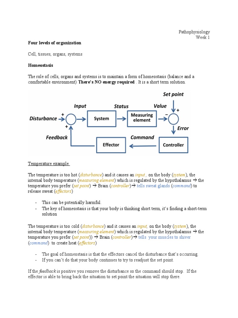 Lecture 1 - Cellular Environment | PDF | Cell Signaling | Cell Membrane