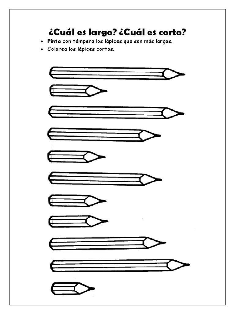 TAREA Largo y Corto | PDF