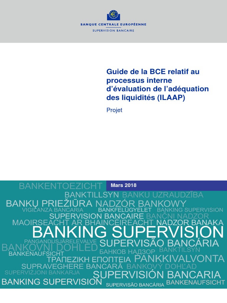 Ilaap System Guide - 2018 | PDF | Risque | Banque centrale européenne