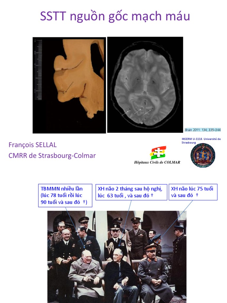 SSTT Mach Mau VN | PDF